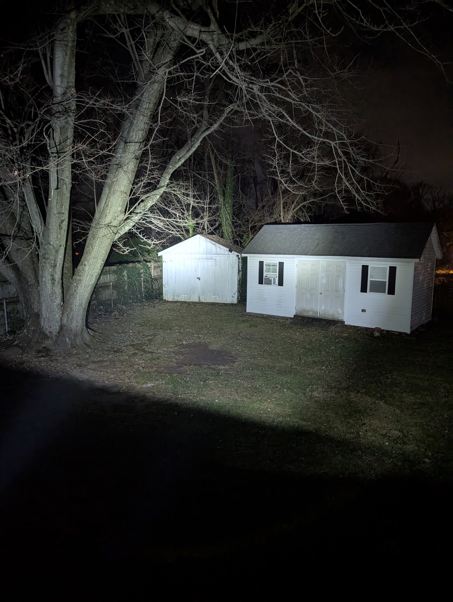 SMSLaser HFXC Review | The Hebrew Hammer